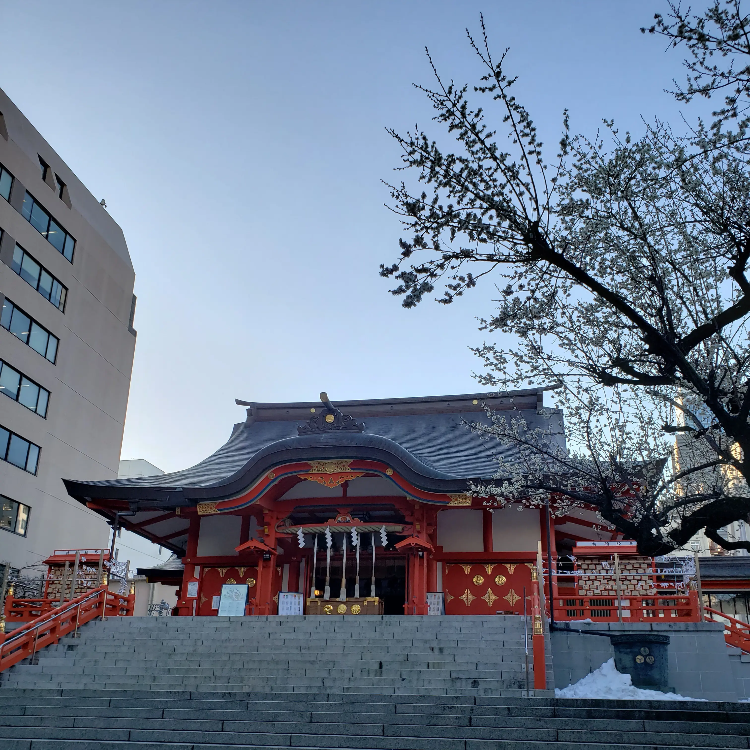 観劇後、雪が残っていた花園神社へ | チームJマダム mintのブログ | チームJマダムブログ | Web eclat