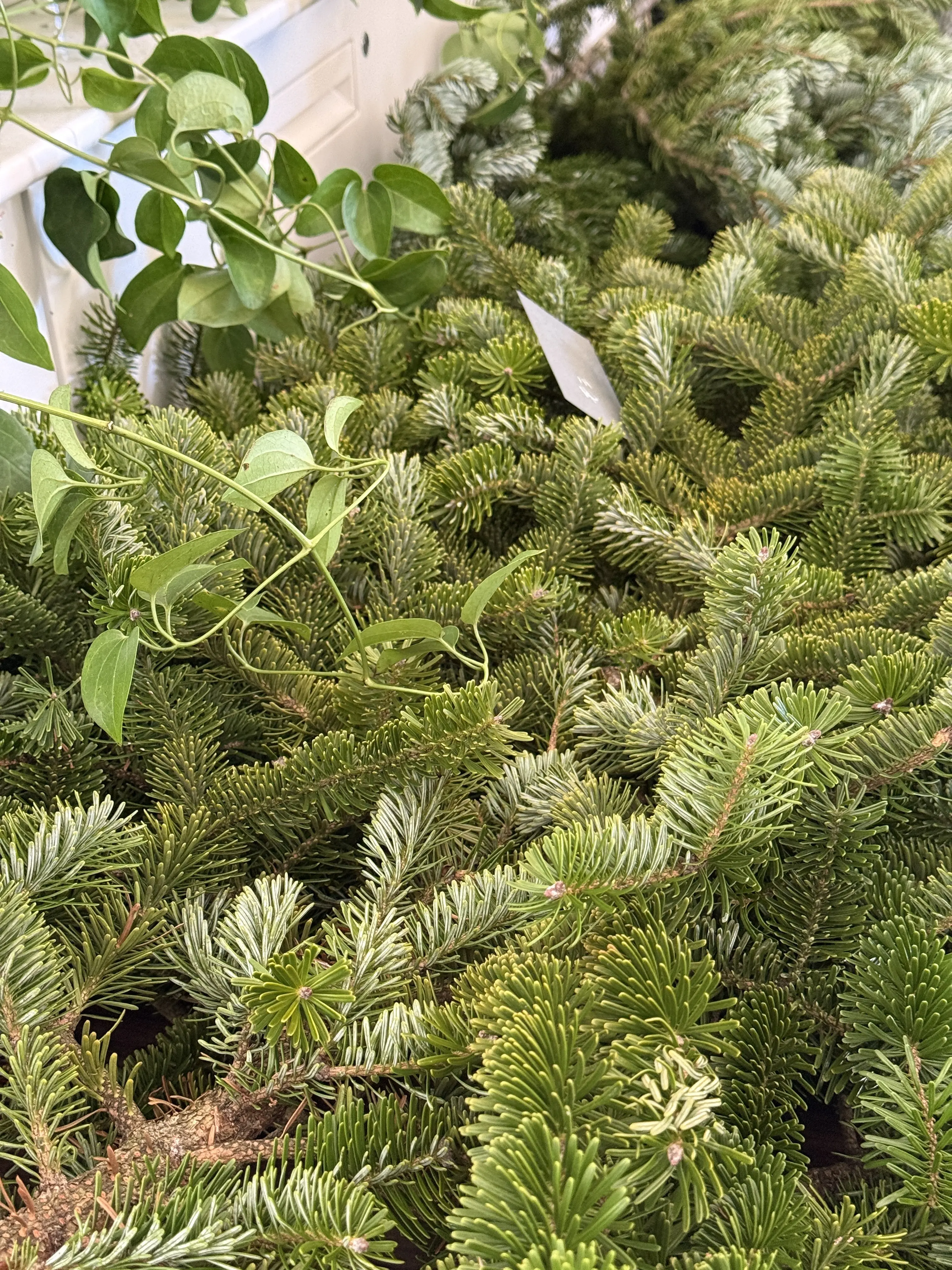 【花時間】Christmasフラワーマルシェとランチパーティー（Web eclat）｜dメニューニュース（NTTドコモ）